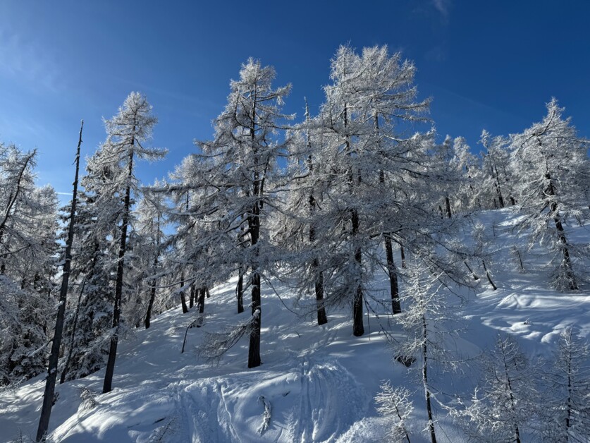 Gemeindebrief Jänner - 2025 - Gemeindebriefe - Wien Fünfhaus - Gemeinden - EmK